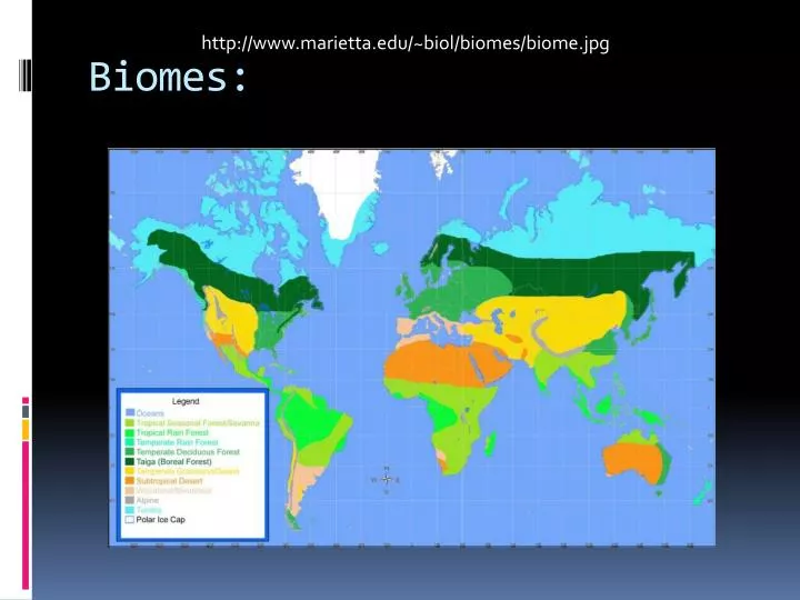 PPT - Biomes: PowerPoint Presentation, free download - ID:3071092