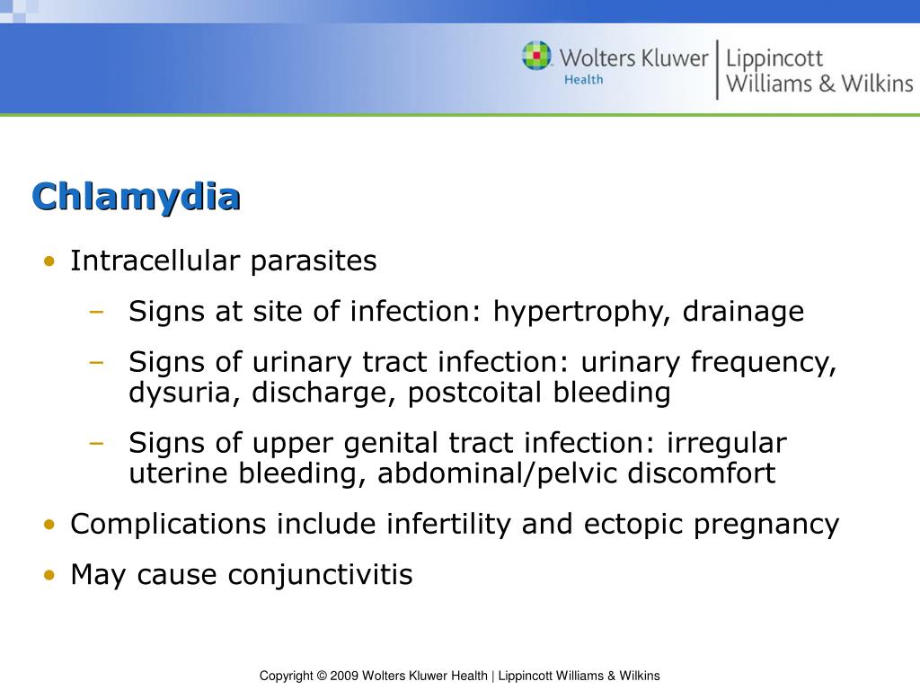 PPT - Chapter 40 Sexually Transmitted Diseases PowerPoint Presentation ...