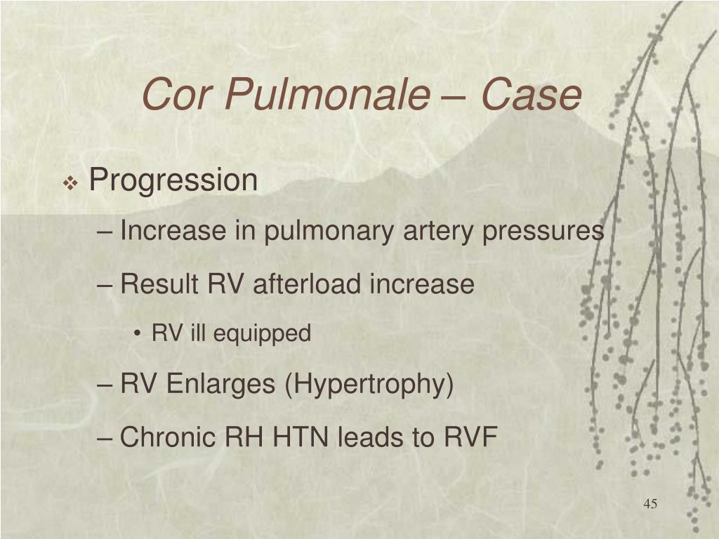 PPT - Cardiac Patient Assessment & Treatment PowerPoint Presentation ...