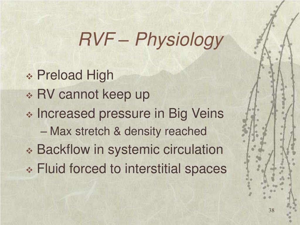 PPT - Cardiac Patient Assessment & Treatment PowerPoint Presentation ...