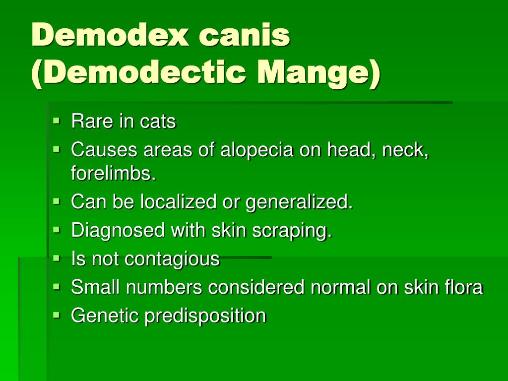 PPT - Parasites of Dogs and Cats PowerPoint Presentation, free download ...