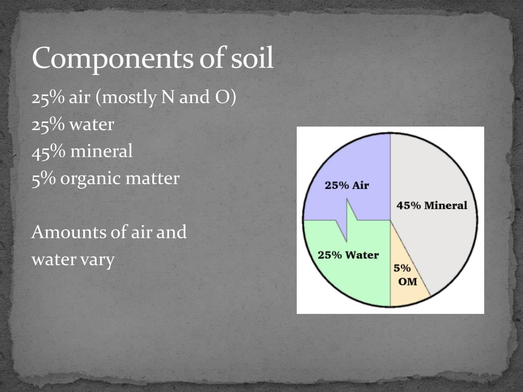 PPT - Soil, Food and Agriculture Chapters 14 a nd 23 PowerPoint ...