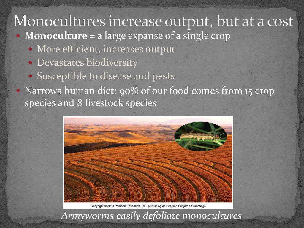 PPT - Soil, Food and Agriculture Chapters 14 a nd 23 PowerPoint ...