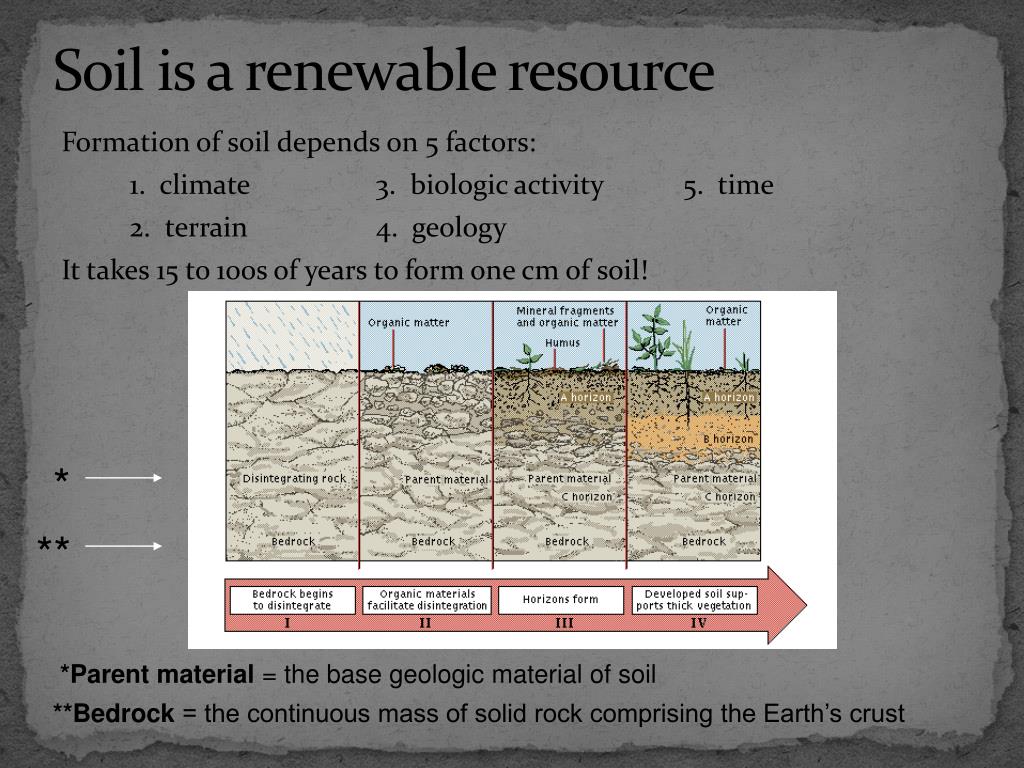 PPT - Soil, Food and Agriculture Chapters 14 a nd 23 PowerPoint ...