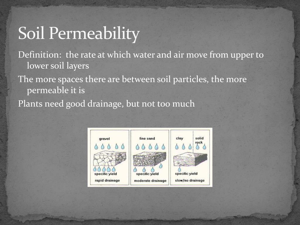 PPT - Soil, Food and Agriculture Chapters 14 a nd 23 PowerPoint ...