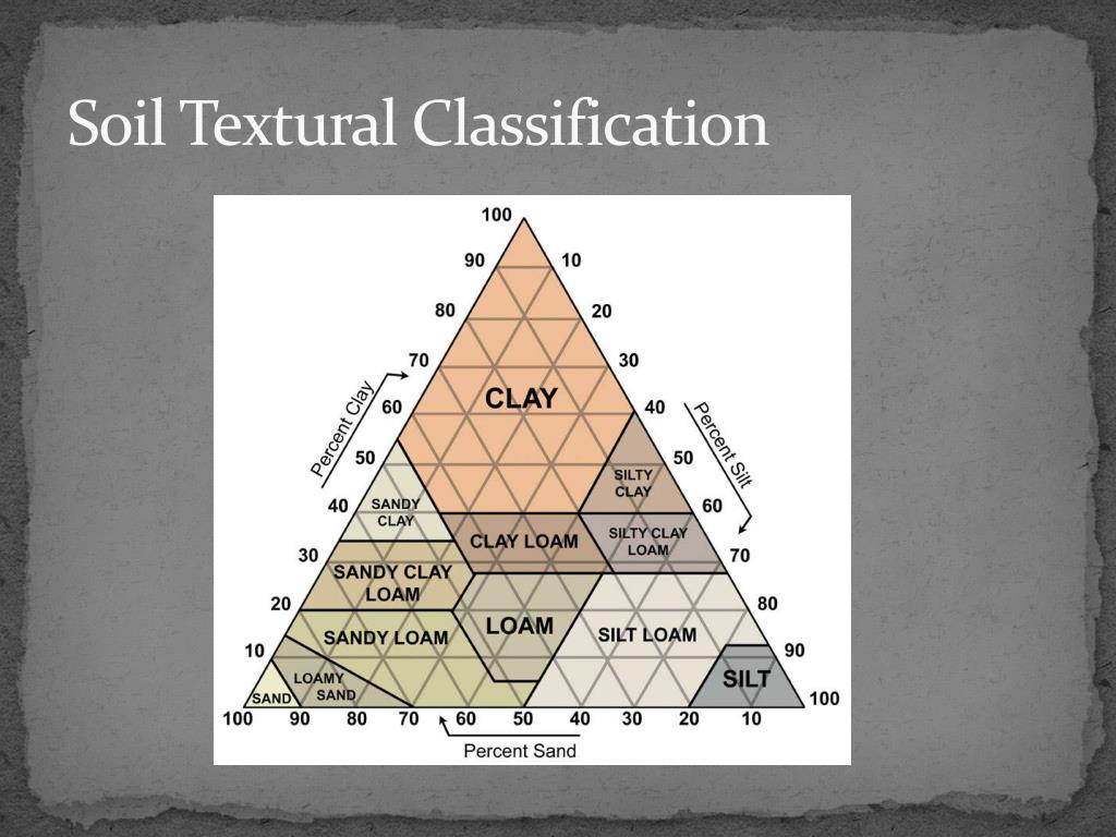 PPT - Soil, Food and Agriculture Chapters 14 a nd 23 PowerPoint ...