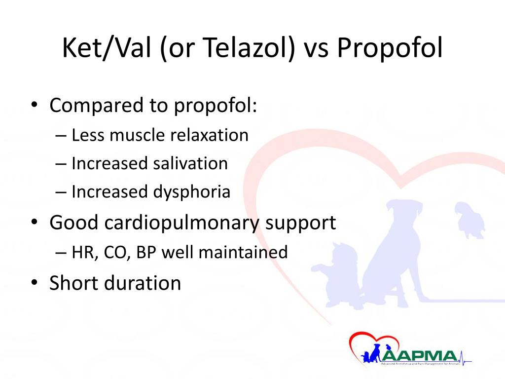 PPT - Veterinary Anesthesia Severna Park Veterinary Hospital Aug. 6 ...