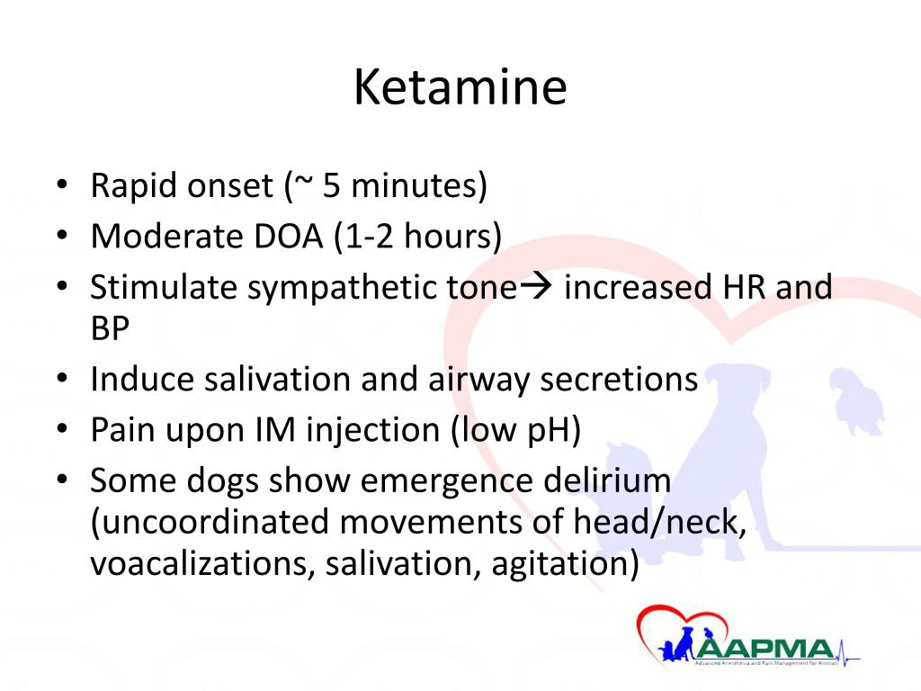 PPT - Veterinary Anesthesia Severna Park Veterinary Hospital Aug. 6 ...