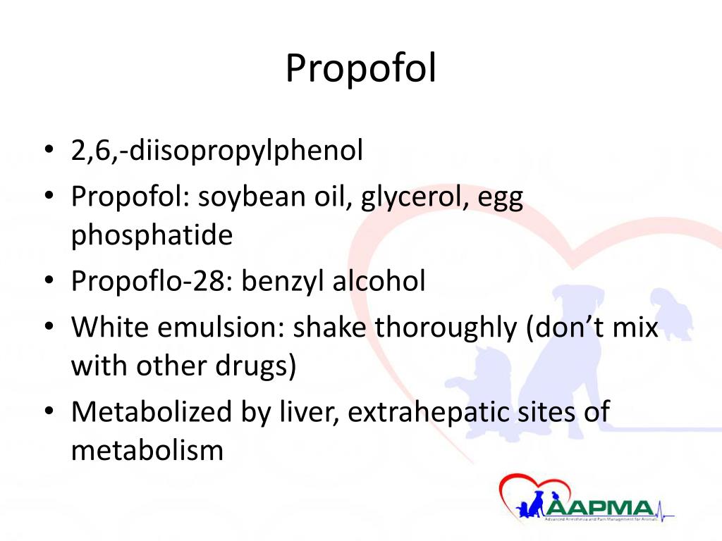 PPT - Veterinary Anesthesia Severna Park Veterinary Hospital Aug. 6 ...