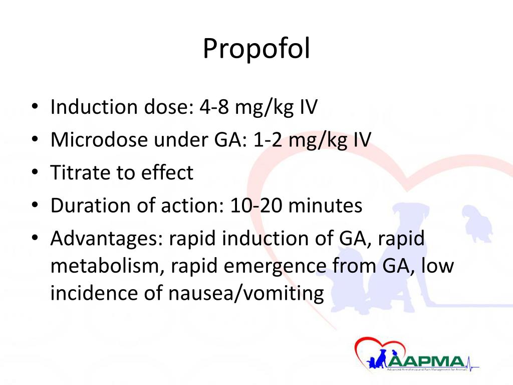 PPT - Veterinary Anesthesia Severna Park Veterinary Hospital Aug. 6 ...