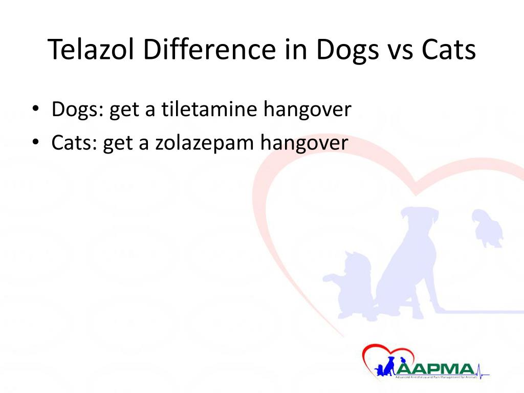 PPT - Veterinary Anesthesia Severna Park Veterinary Hospital Aug. 6 ...