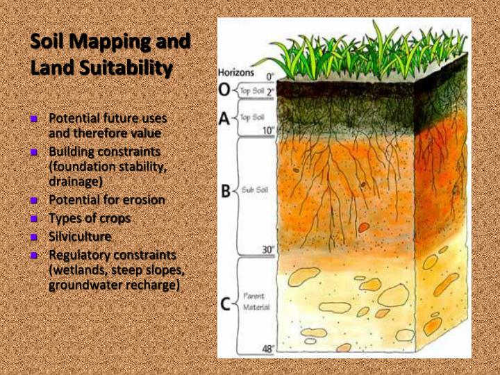 PPT - Geology PowerPoint Presentation - ID:3073696