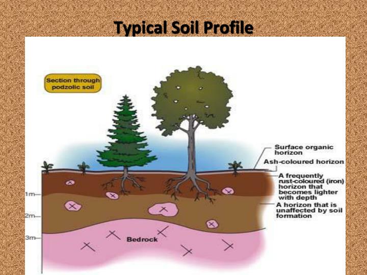 PPT - Geology PowerPoint Presentation - ID:3073696