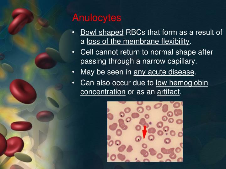 PPT - Hematology PowerPoint Presentation - ID:3074089