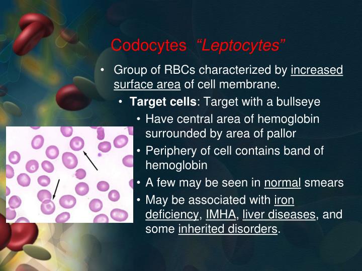 PPT - Hematology PowerPoint Presentation - ID:3074089