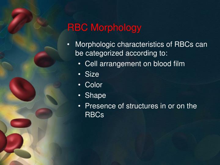 PPT - Hematology PowerPoint Presentation - ID:3074089