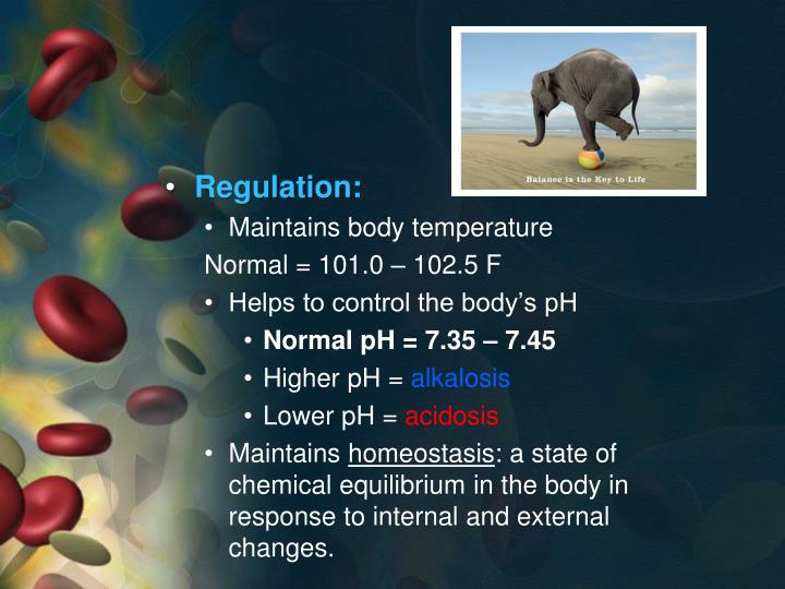 PPT - Hematology PowerPoint Presentation - ID:3074089