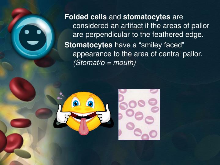 PPT - Hematology PowerPoint Presentation - ID:3074089