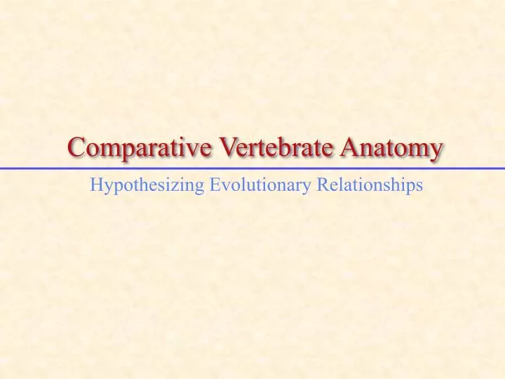 PPT - Comparative Vertebrate Anatomy PowerPoint Presentation, free ...