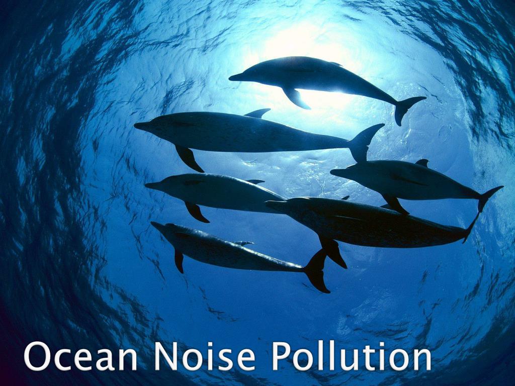 Ppt Noise Pollution Powerpoint Presentation Free Download Id 3075597