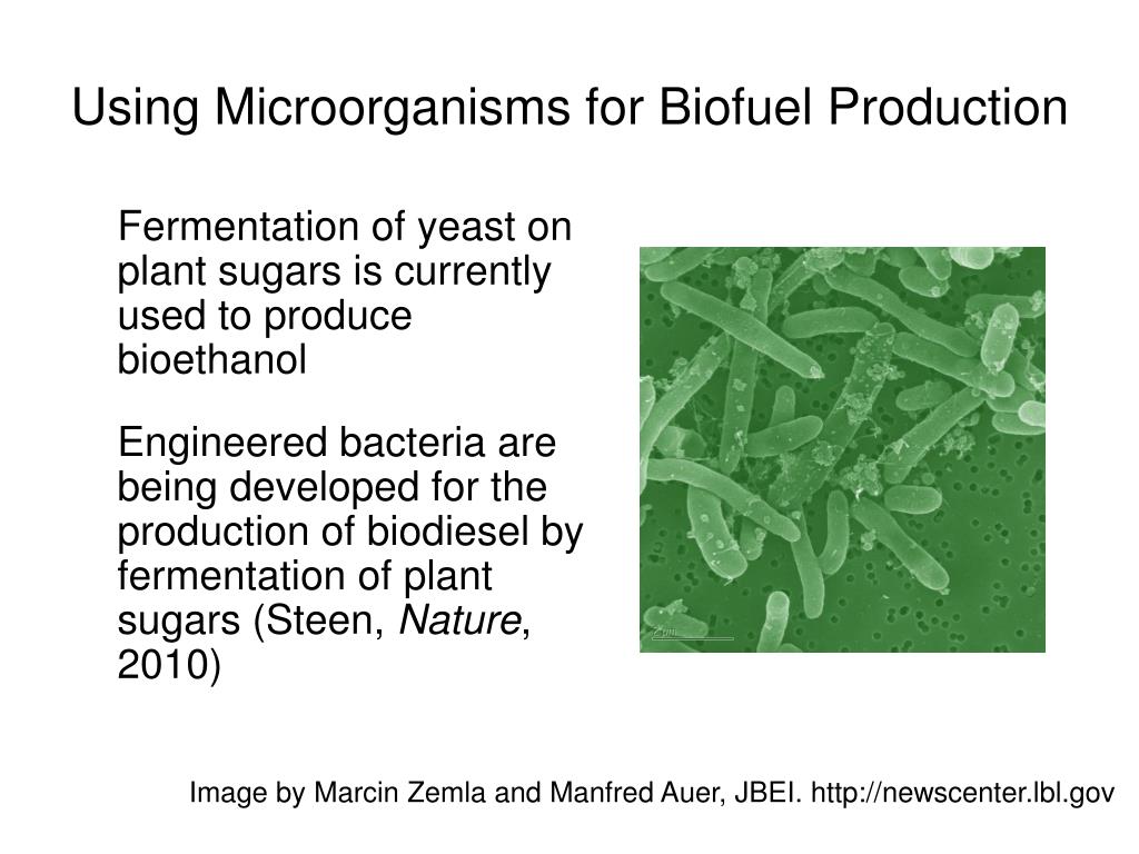PPT - Prof. Jason K. Sello Department of Chemistry Brown University j ...