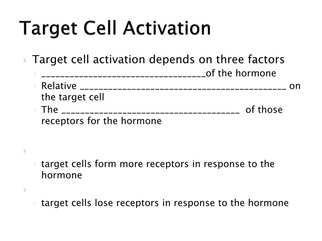 PPT - BSC 182 Human Physiology & Anatomy II PowerPoint Presentation ...