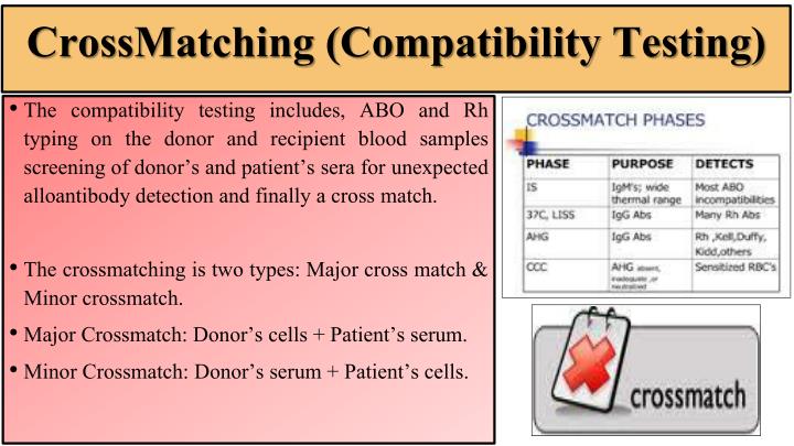 PPT - Principles of Immunohematology PowerPoint Presentation - ID:3077034