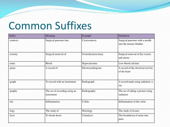 PPT - Veterinary Assisting Unit A PowerPoint Presentation - ID:3077314