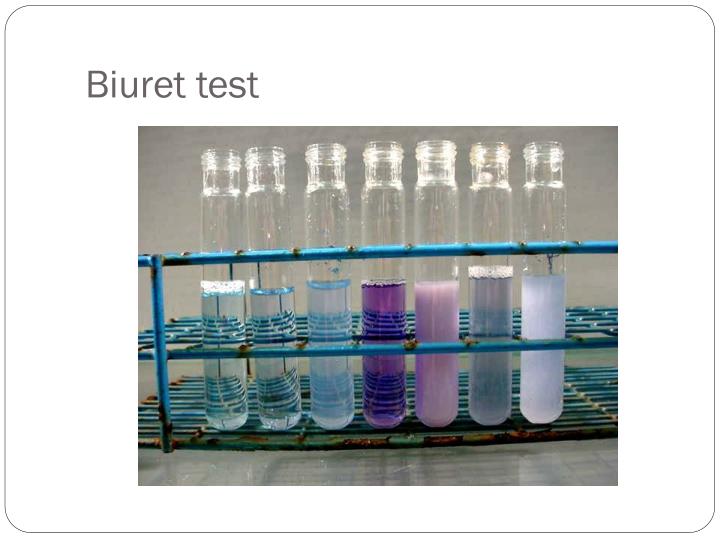 PPT - Biologically Important Macromolecules PowerPoint Presentation ...