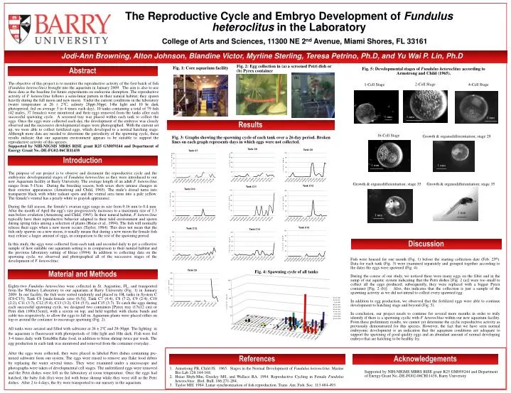 PPT - The Reproductive Cycle and Embryo Development of Fundulus ...