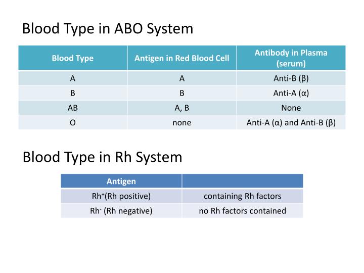 PPT - Human Circulatory System PowerPoint Presentation - ID:3077586