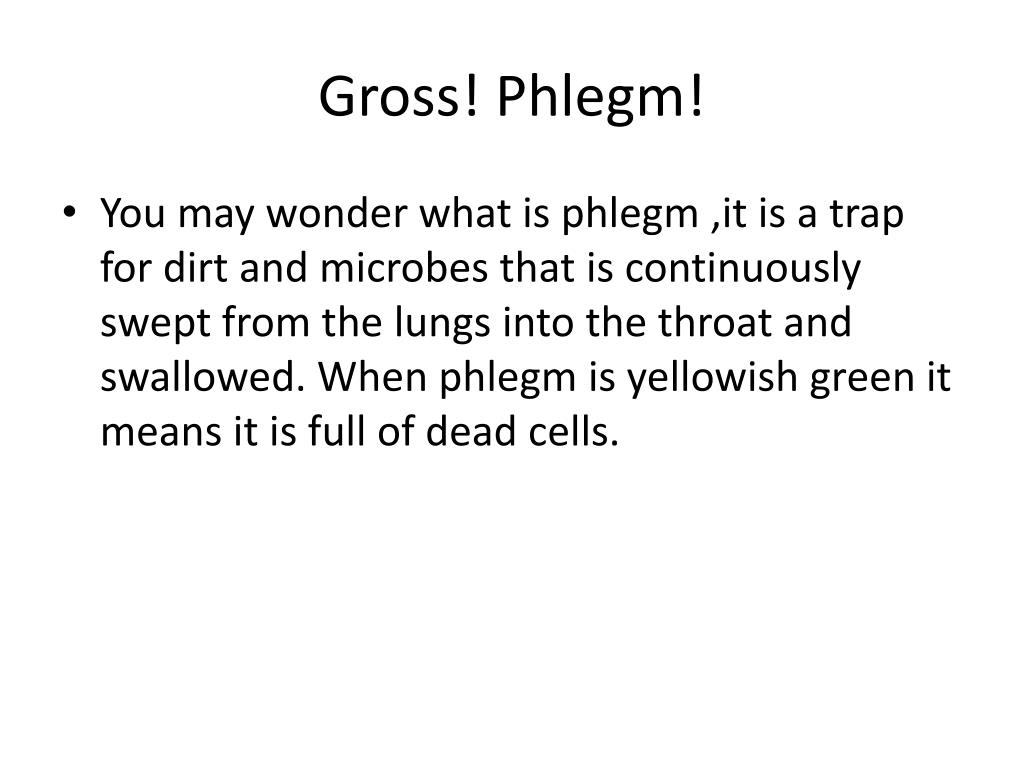 PPT - Respiratory System PowerPoint Presentation, free download - ID ...
