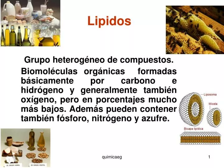 PPT - Lipidos PowerPoint Presentation, free download - ID:3077752
