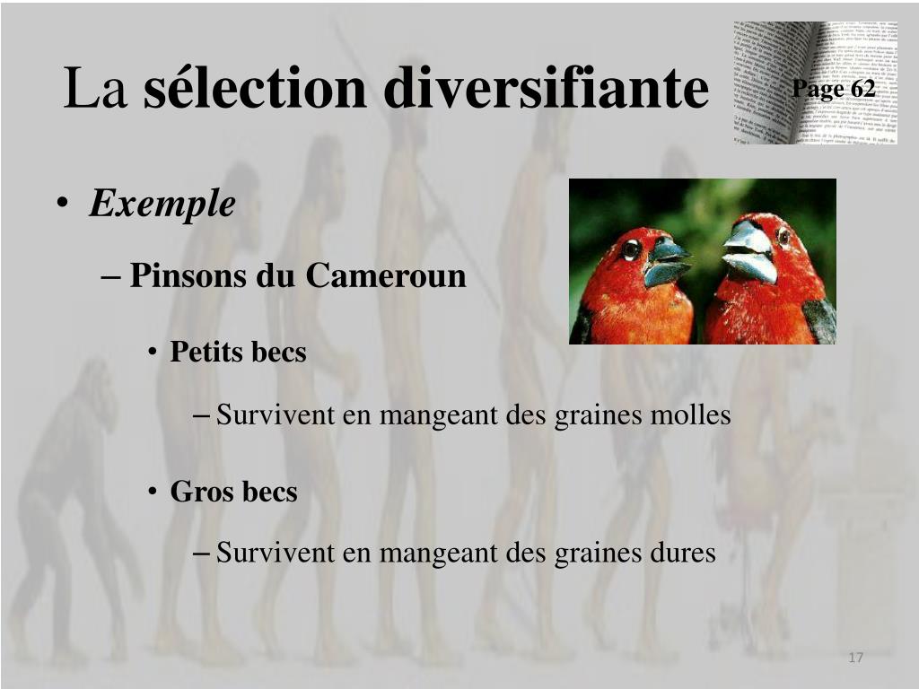 PPT - Compléments sur la sélection naturelle et sur la variation ...