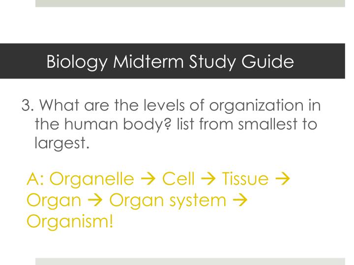 PPT - Biology R Midterm Study Guide PowerPoint Presentation - ID:3078199