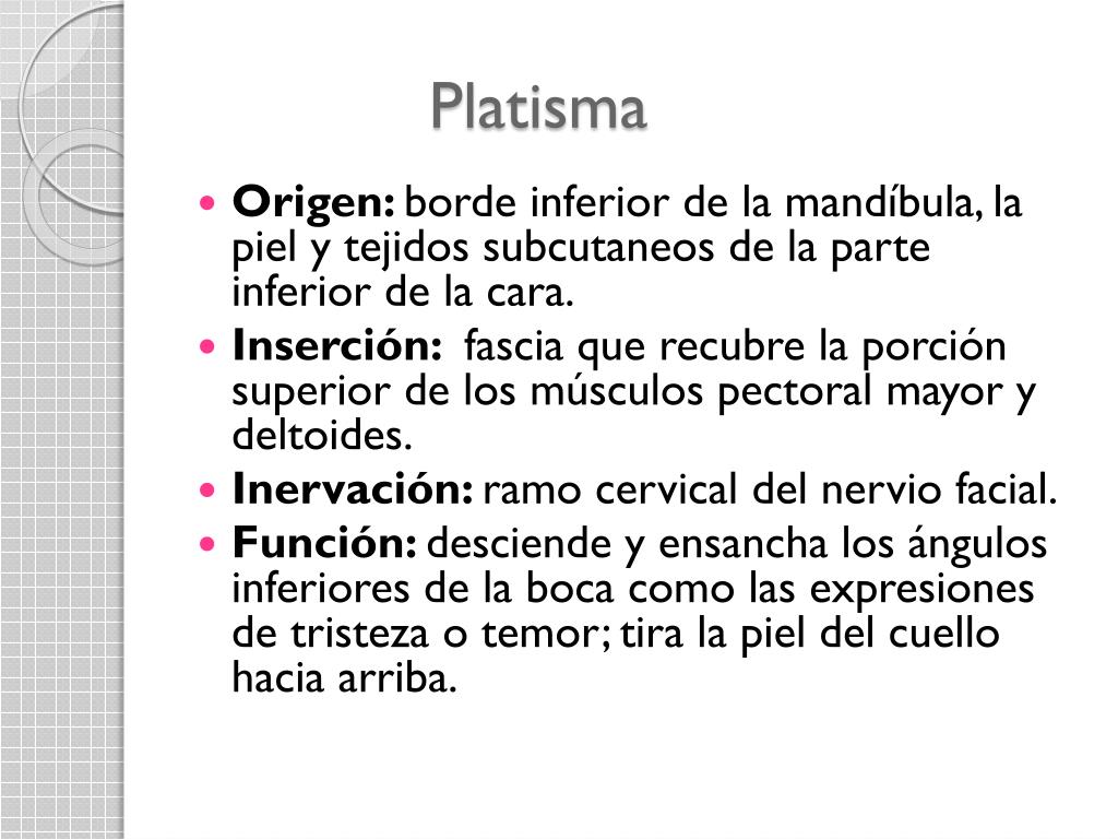 PPT - cara y cuello nicole quesada cartin PowerPoint Presentation, free ...