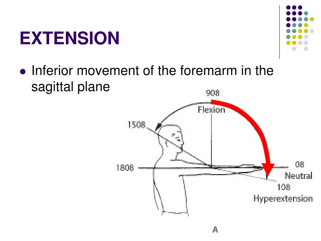 PPT - The Elbow and Radioulnar Joints PowerPoint Presentation, free ...