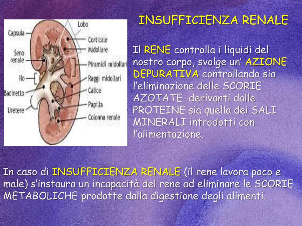 PPT - ASSISTENZA ALLA PERSONA NELL’ ALIMENTAZIONE PowerPoint ...