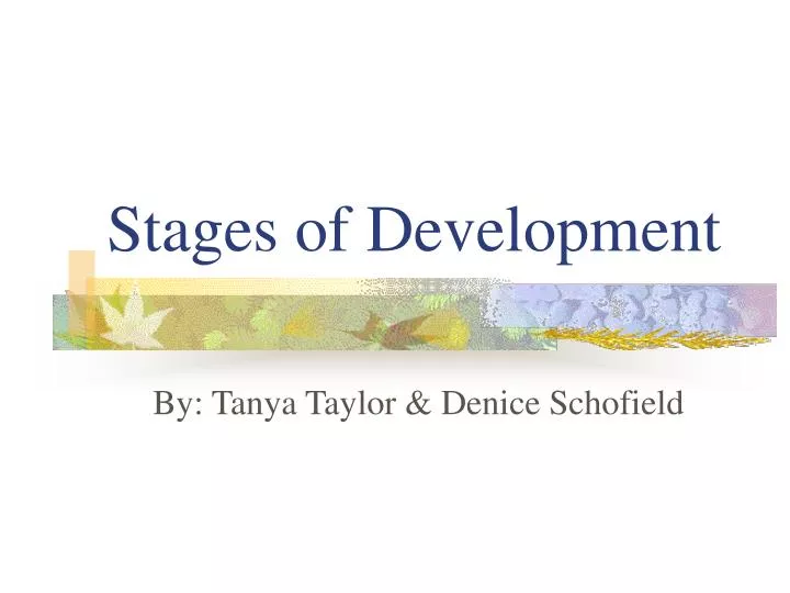PPT - Stages of Development PowerPoint Presentation, free download - ID ...