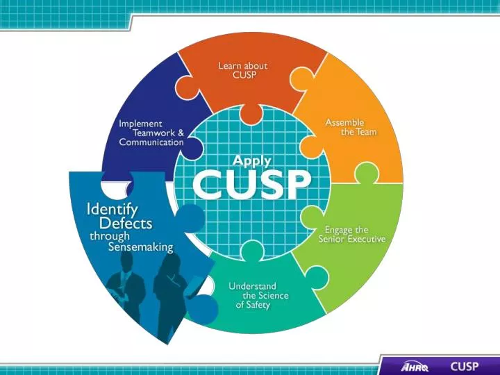 PPT - CUSP and Sensemaking Tools 1 PowerPoint Presentation, free ...