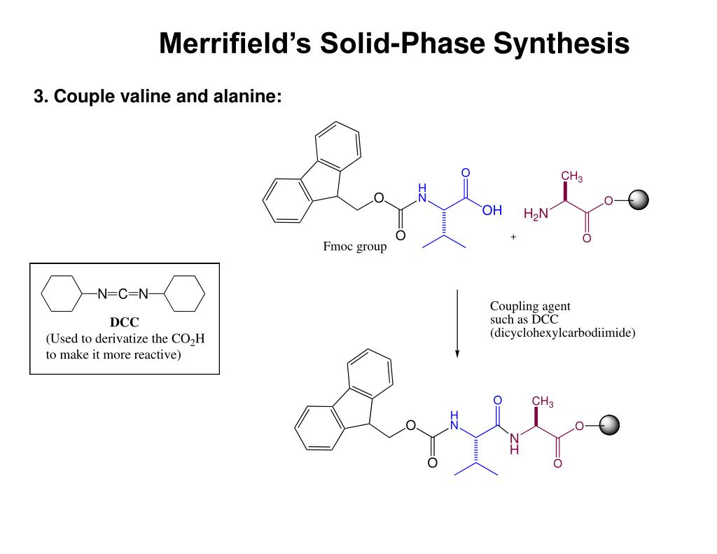 PPT - Amino Acids, Peptides & Proteins PowerPoint Presentation - ID:3081668
