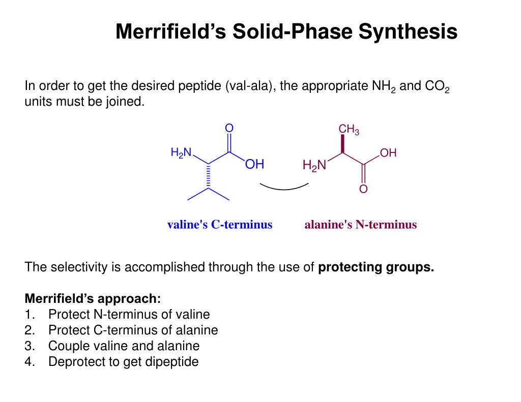 PPT - Amino Acids, Peptides & Proteins PowerPoint Presentation - ID:3081668