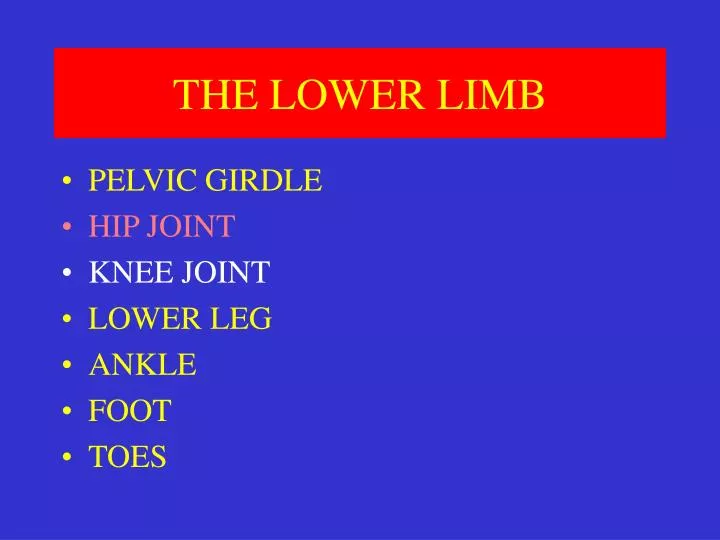 PPT - THE LOWER LIMB PowerPoint Presentation, free download - ID:3082751
