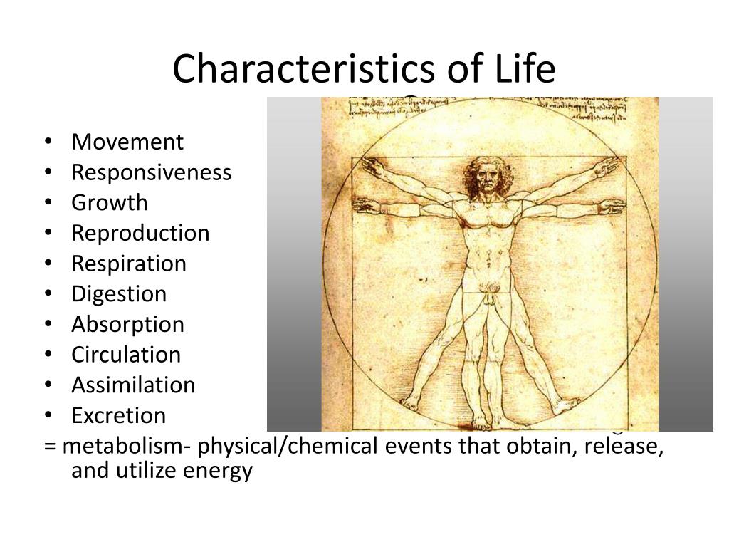 PPT - ANATOMY PHYSIOLOGY PowerPoint Presentation, free download - ID ... PPT - ANATOMY PHYSIOLOGY PowerPoint Presentation, free download - ID ...
