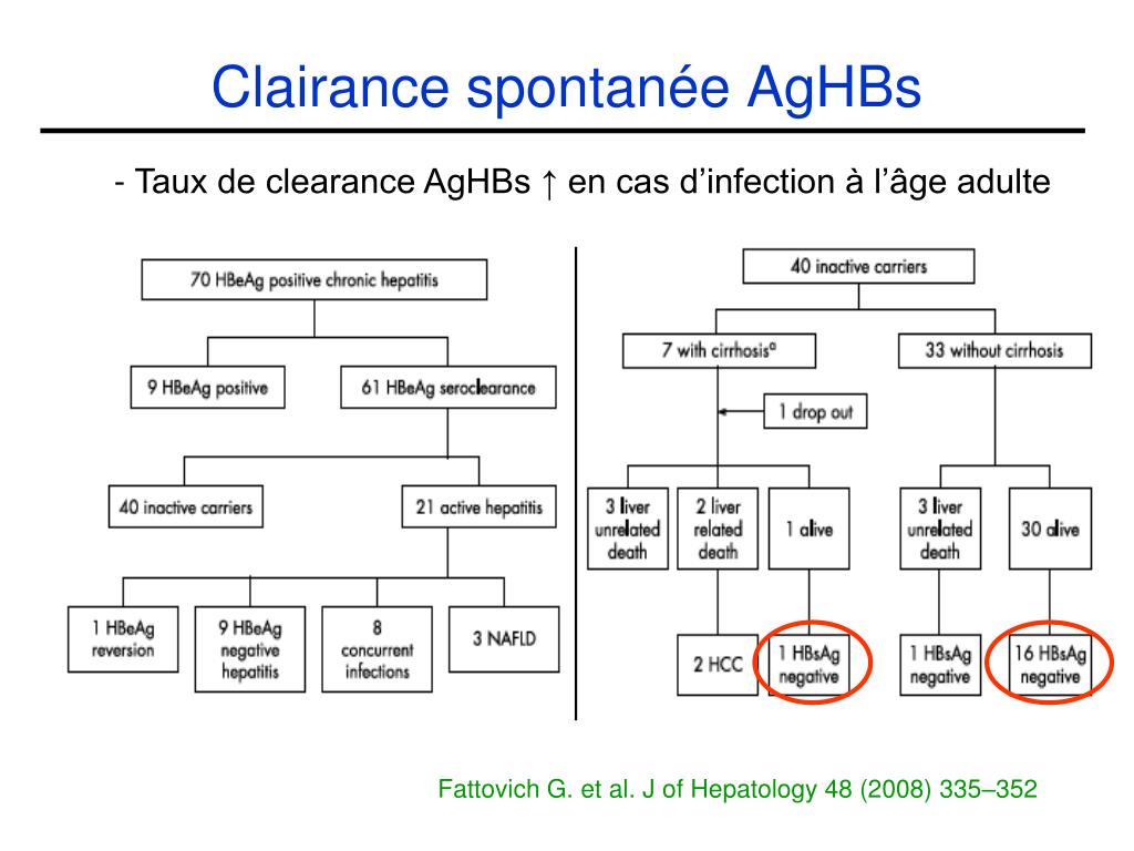 PPT - Histoire naturelle de l’infection chronique VHB PowerPoint ...