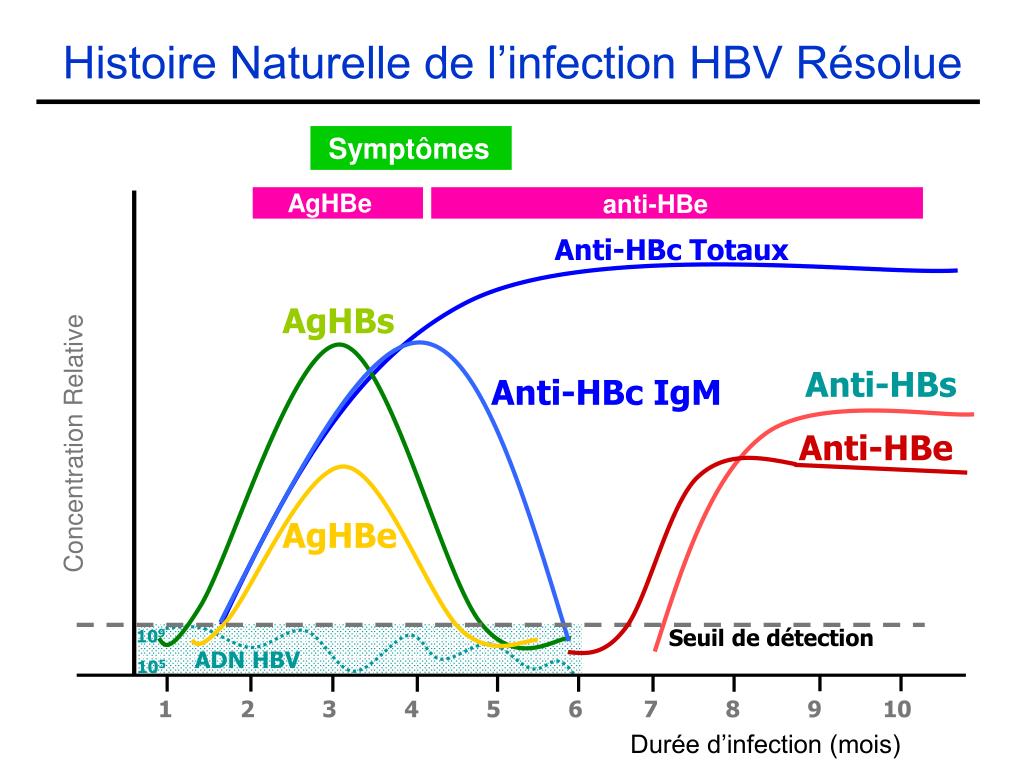 PPT - Histoire naturelle de l’infection chronique VHB PowerPoint ...