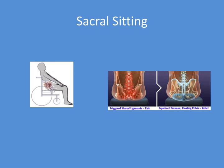 PPT - Coccydynia PowerPoint Presentation - ID:3084397