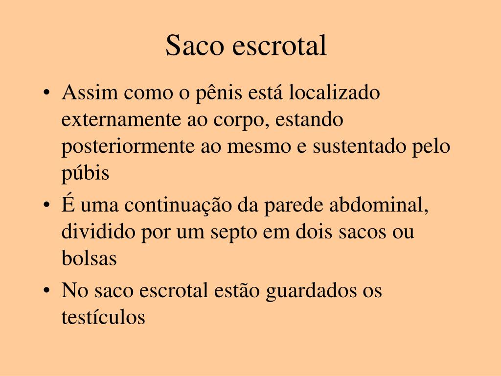 PPT - Sistema reprodutor masculino PowerPoint Presentation, free ...