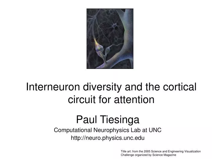 PPT - Interneuron diversity and the cortical circuit for attention ...