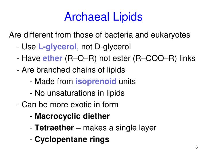 PPT - Chapter 19: Archaeal Diversity PowerPoint Presentation - ID:3085181